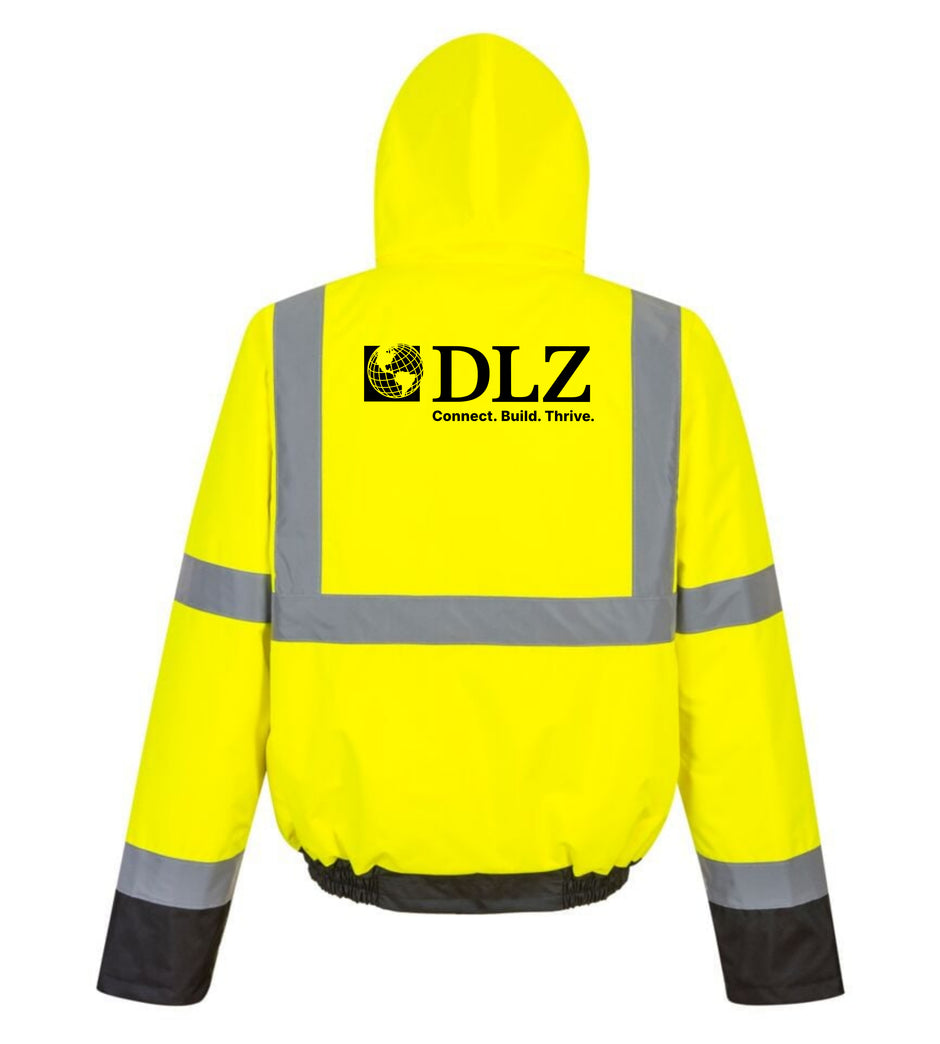 DLZ